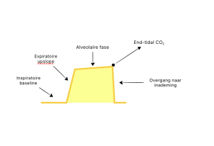 Basisbeginselen: Wat is het, hoe werkt het en hoe wordt het gebruikt? – KAP = CAPNO